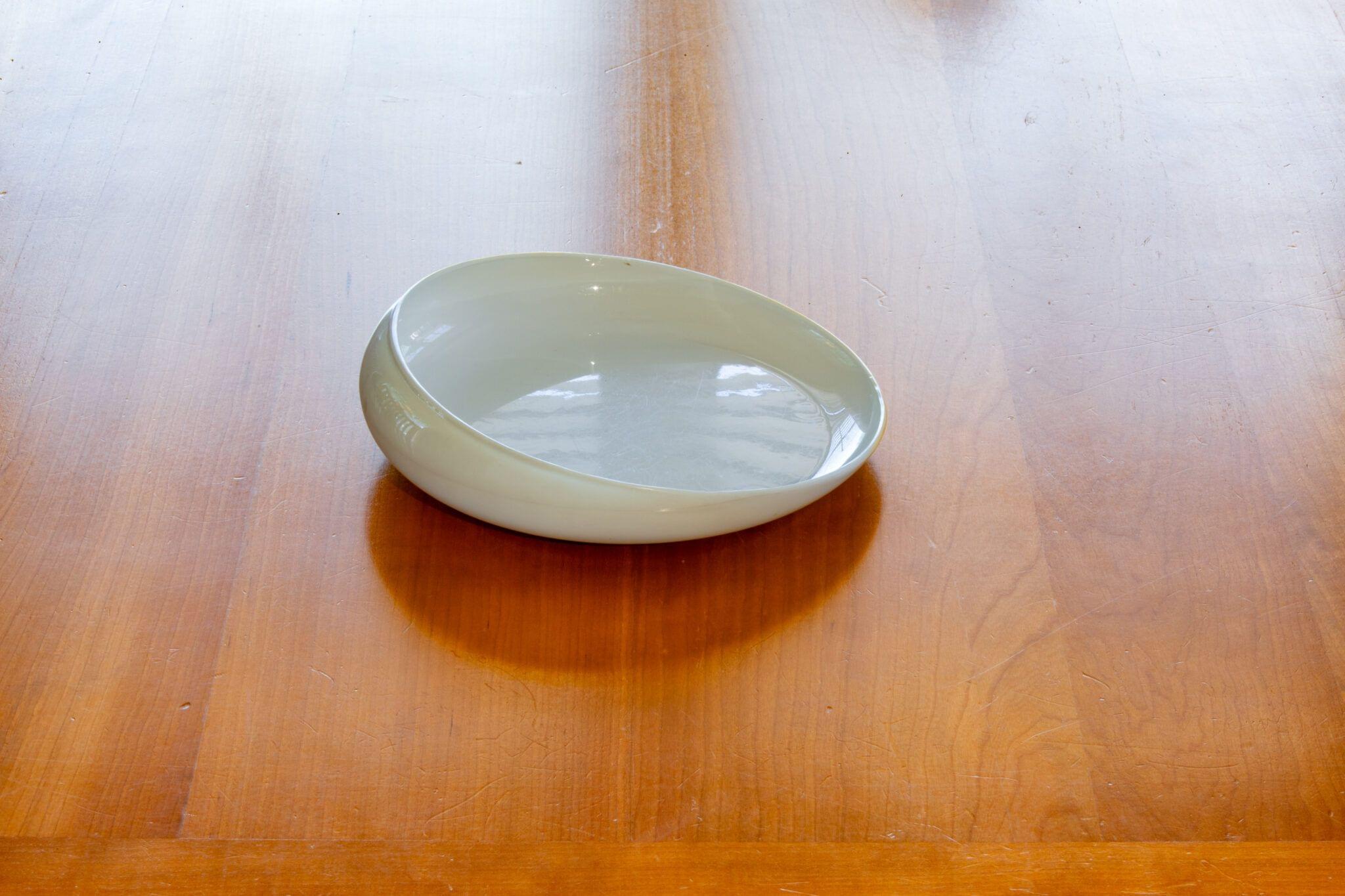 Is A Scoop Plate Right For Your Loved One? | Trualta