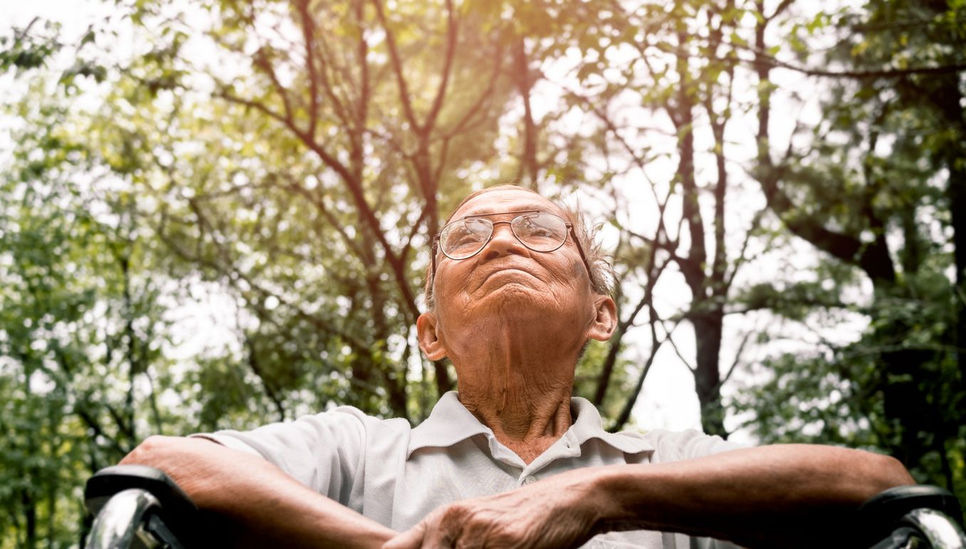 Nature-Inspired Sensory Activities For Dementia Patients | Trualta